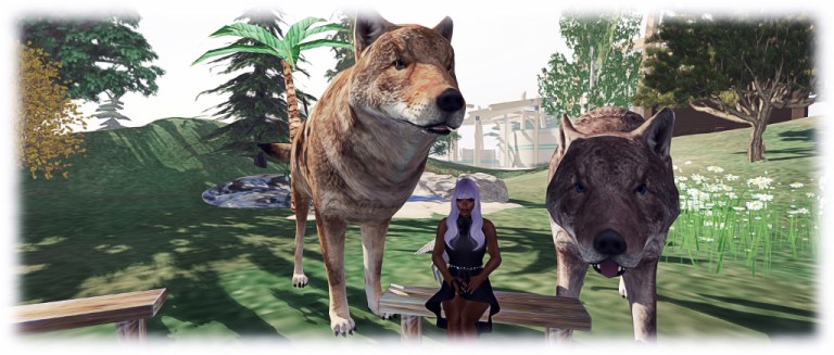 Behind the scenes with Bento in Second Life – Inara Pey: Living in a ...