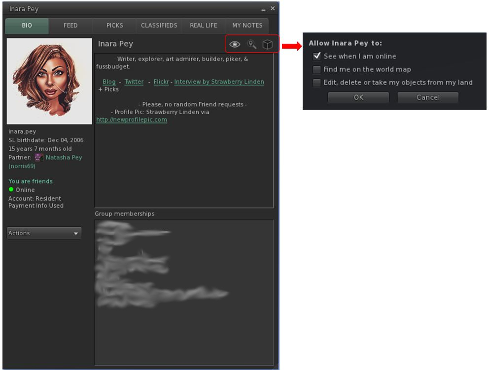 Profiles Viewer reaches RC Status in Second Life – Inara Pey: Living in ...